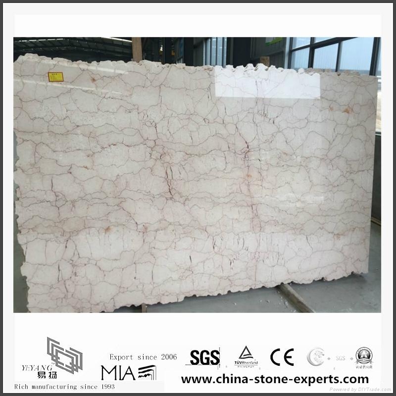 Shell Beige Marble - YQN-100602 - Yuanhong & YEYANG (China Trading ...