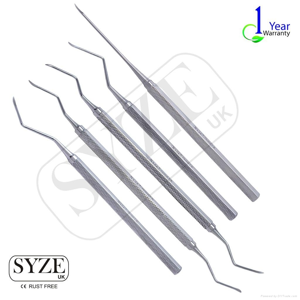 Root Tip Picks 5pcs Set - LAB-406 - SYZE UK (United Kingdom ...