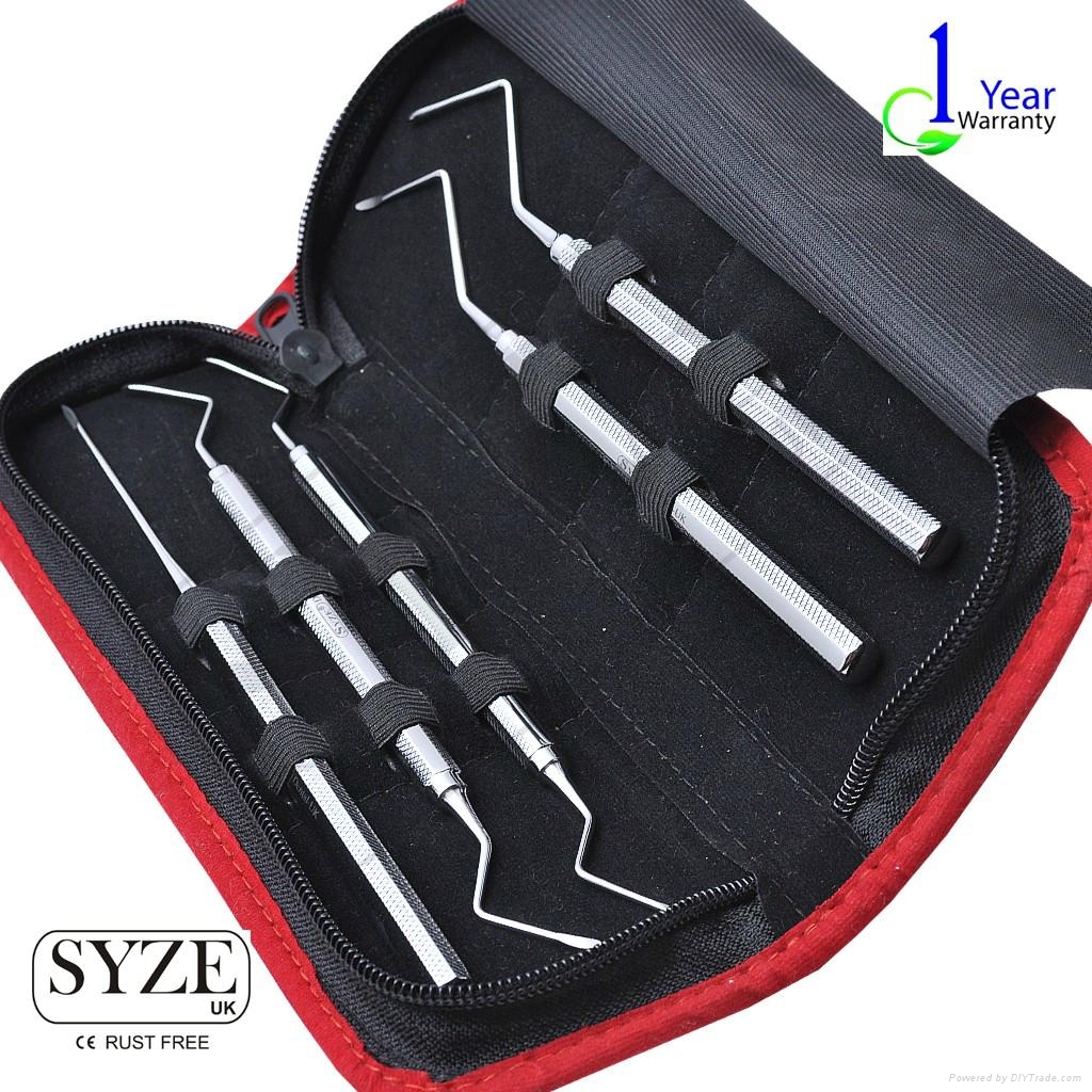 Root Tip Picks 5pcs Set - LAB-406 - SYZE UK (United Kingdom ...