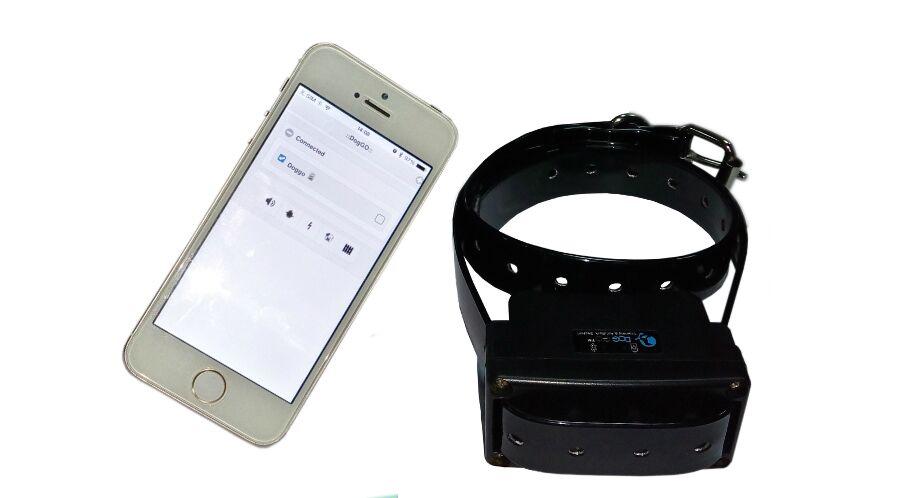 Smart Phone dog training collar - RS-P01 - N/A (China Manufacturer ...