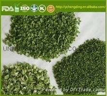 2017 Fresh Chinese dried Chive - UTC-01 & 02 - UTC (Hong Kong ...