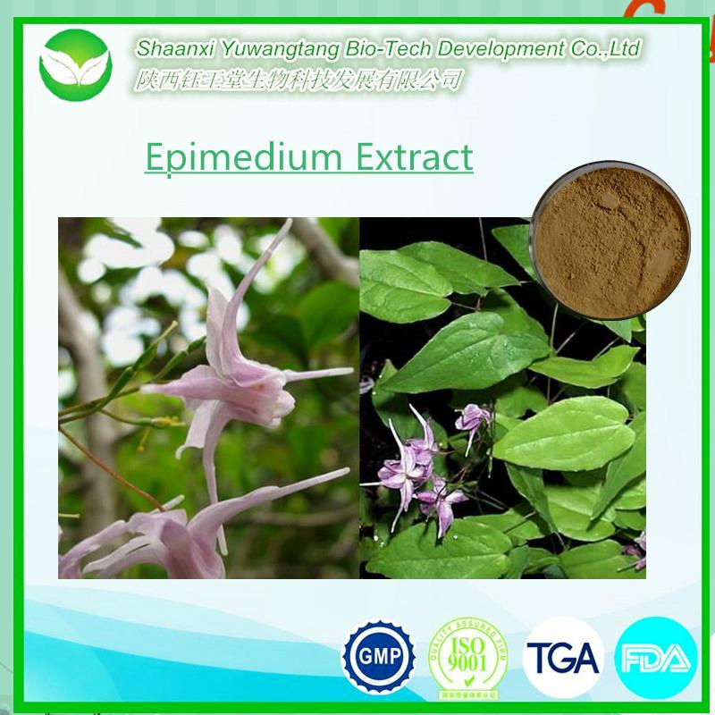 Epimedium Extract - YWT - YWT (China Manufacturer) - Plant Extract ...