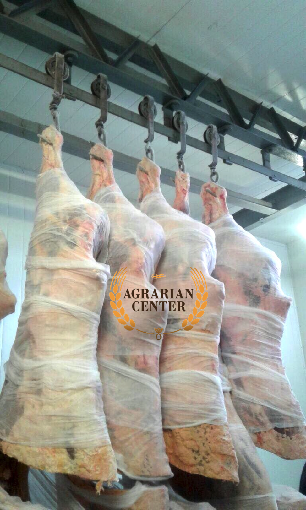 BEEF - AGRARIAN CENTER (Ukraine Manufacturer) - Poultry & Livestock ...