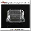 plastic blueberry clamshell 125g punnet packing - GLT-125B1 (China ...