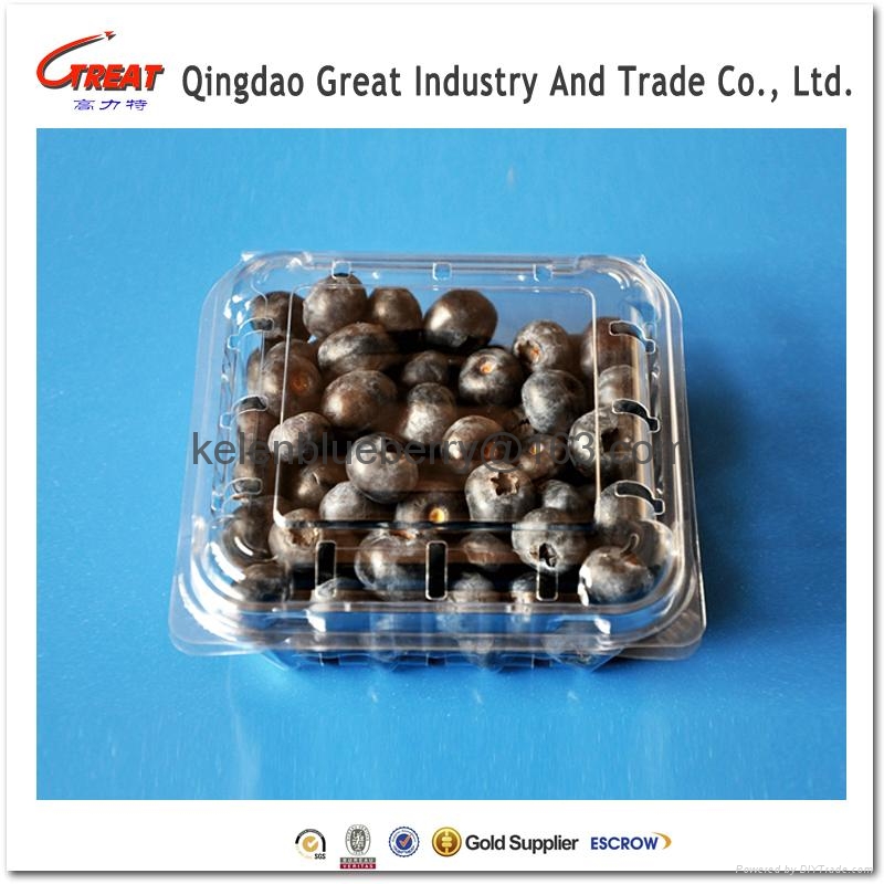 plastic blueberry clamshell 125g punnet packing - GLT-125B1 (China ...
