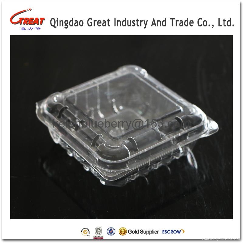plastic blueberry clamshell 125g punnet packing - GLT-125B1 (China ...
