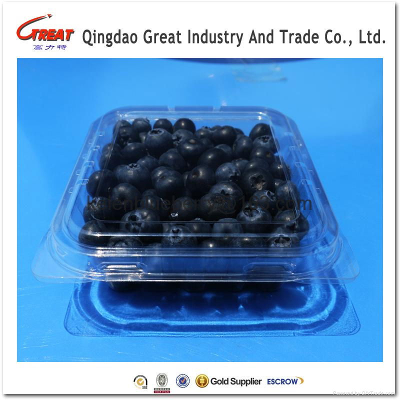 plastic blueberry clamshell packaging - GSA-125-1 (China Manufacturer ...