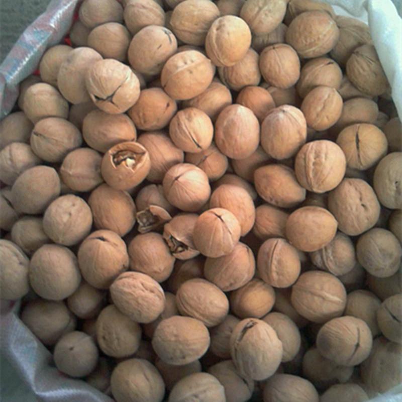 thin skin inshell walnut - 1 - walnuts (China Manufacturer) - Nuts Products - Processed Food ...