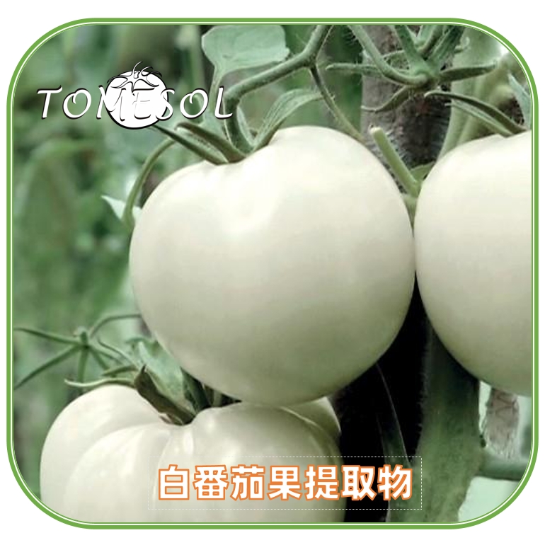 TOMESOL 白番茄果提取物（化妆品专用）(TOMESORAL) - 上海市 - 服务或其他 - 产品展示 - 格莱德健康科技股份有限公司