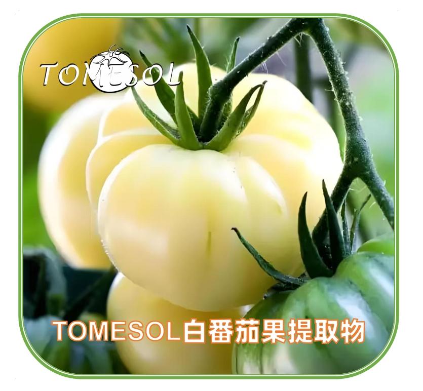 TOMESOL 白番茄果提取物（化妝品專用） - 上海市 - 服務或其他 - 產品展示 - 格萊德健康科技股份有限公司