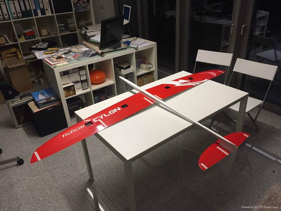 Cylon composite motorless plane model - RCRCM (China Manufacturer ...