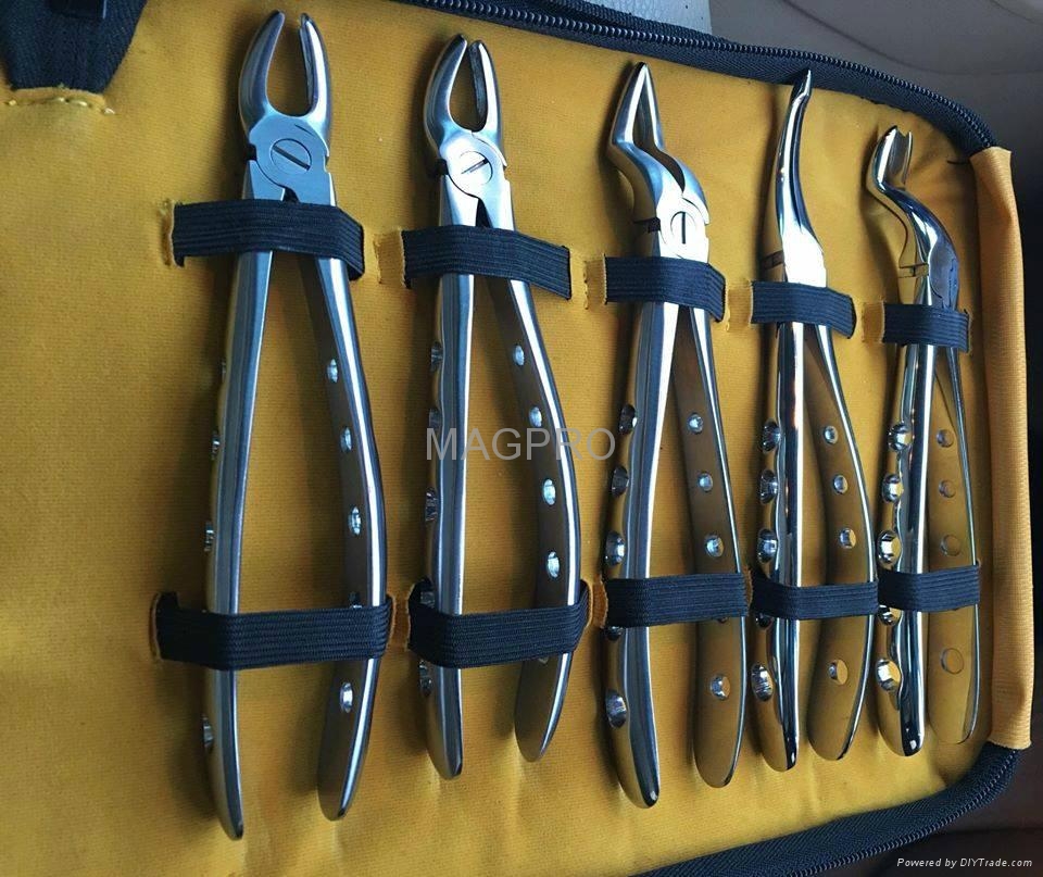 Basic Extracting Kit - 2 - MAGPRO (United States of America ...