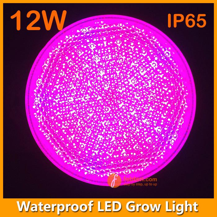 Waterproof 12W IP65 LED Grow Bulb - IP65-12W - febten (China ...