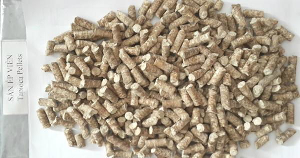 Tapioca Pellet - 1 - Viet Delta (Vietnam Manufacturer) - Agriculture ...