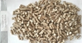 Tapioca Pellet - 1 - Viet Delta (Vietnam Manufacturer) - Agriculture ...