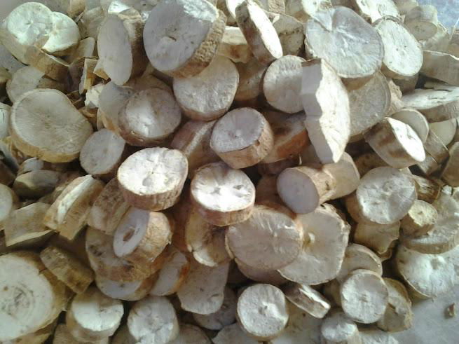 Tapioca Pellet - 1 - Viet Delta (Vietnam Manufacturer) - Agriculture ...