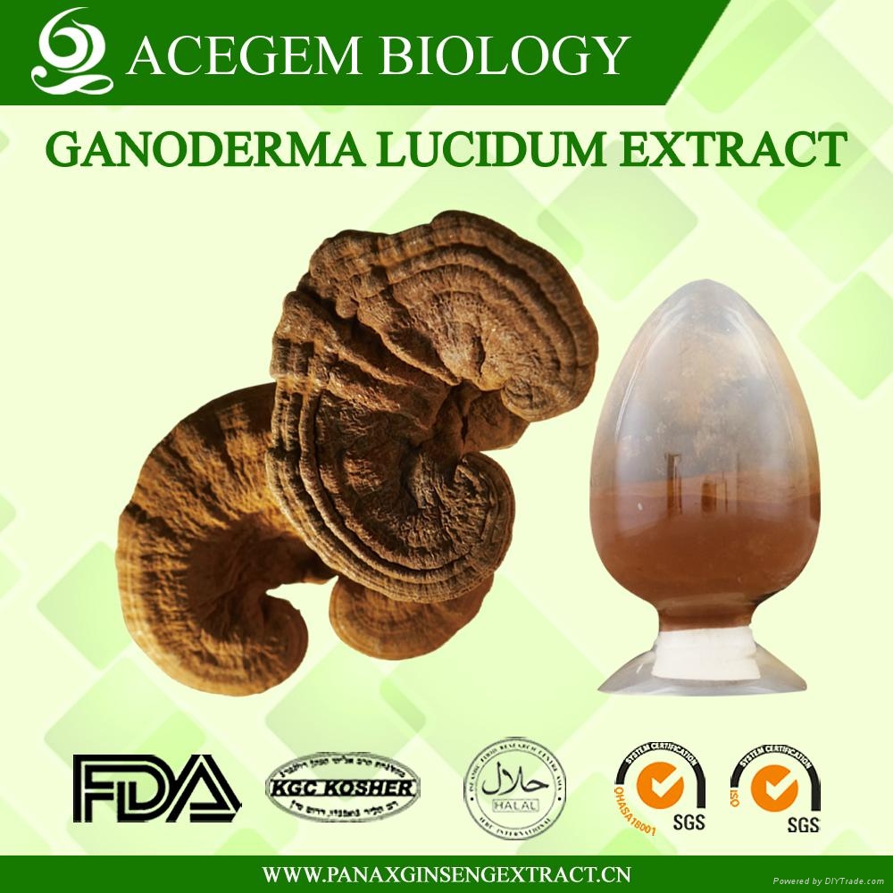 Organic Ganoderma Lucidum Extract Triterpene - GLE-1 - Acegem (China ...