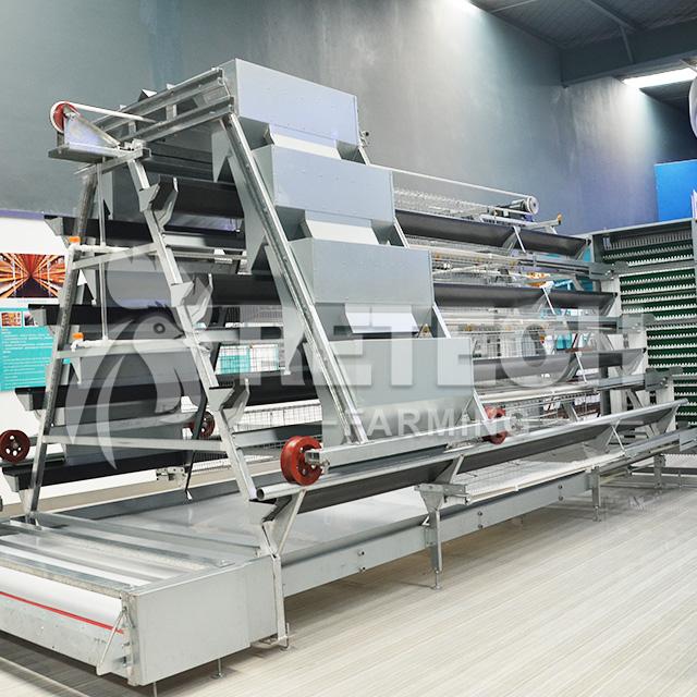 pp belt type chicken manure system for h type poultry equipment - PP ...