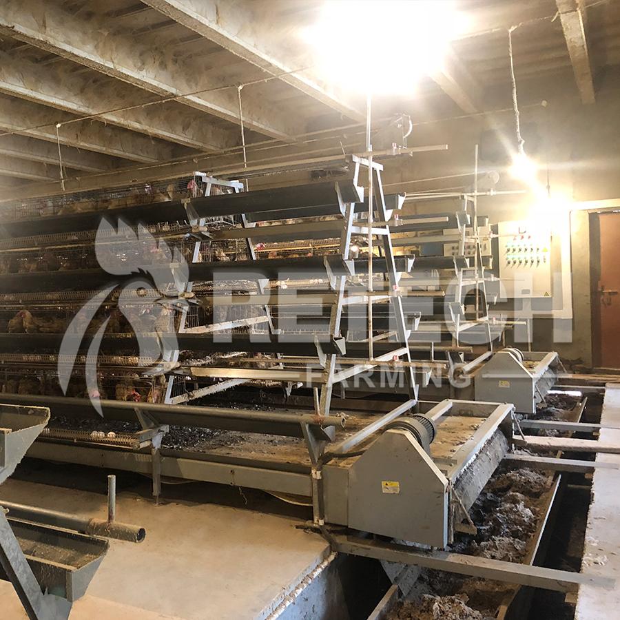 pp belt type chicken manure system for h type poultry equipment - PP ...