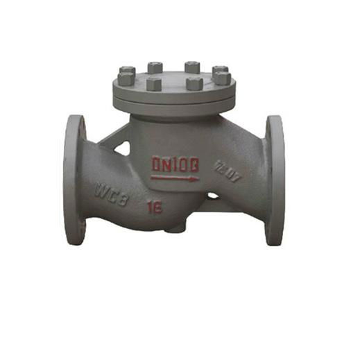 DIN Grey Iron Lift Check Valve DN15-200 (H41H-16) (China Manufacturer) - Valves - Machine ...