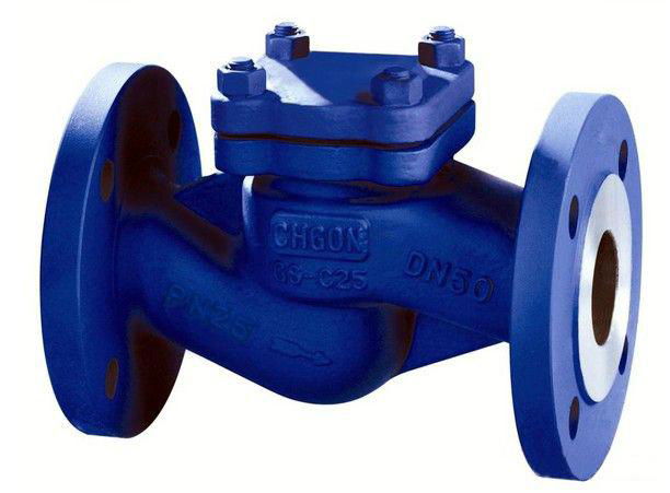 DIN Grey Iron Lift Check Valve DN15-200 (H41H-16) (China Manufacturer ...