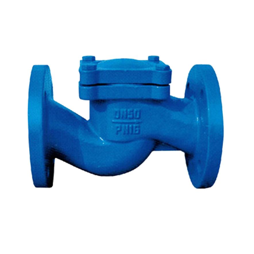 DIN Grey Iron Lift Check Valve DN15-200 (H41H-16) (China Manufacturer) - Valves - Machine ...