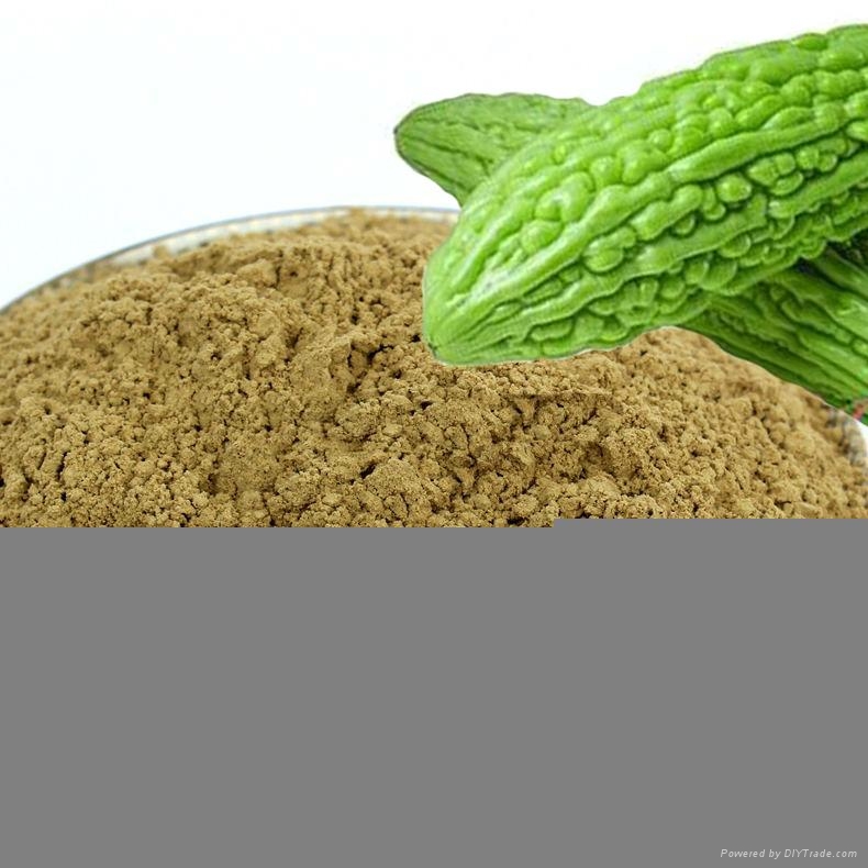 Bitter melon powder - Vdelta (Vietnam Services or Others) - Grain ...