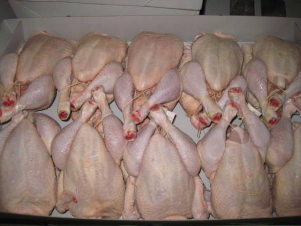 Halal Frozen Whole Chicken from Thailand - Whole chicken (Thailand ...