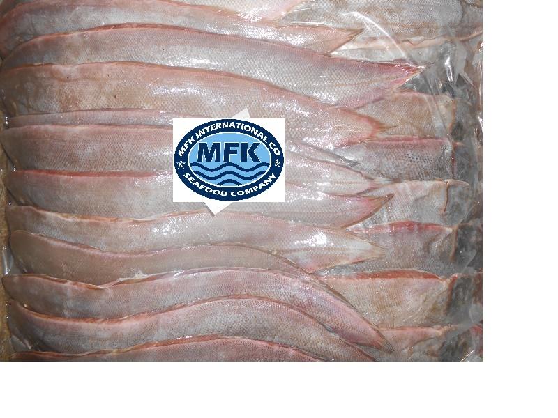 RED TONGUSE SOLE FISH - Pakistan - Manufacturer - Product Catalog