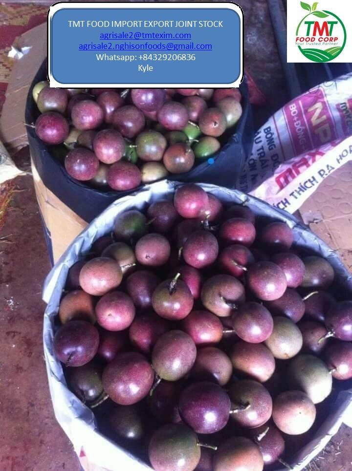 PASSION FRUIT - PF1-NS - TMT FOODS (Vietnam Manufacturer) - Fruit ...