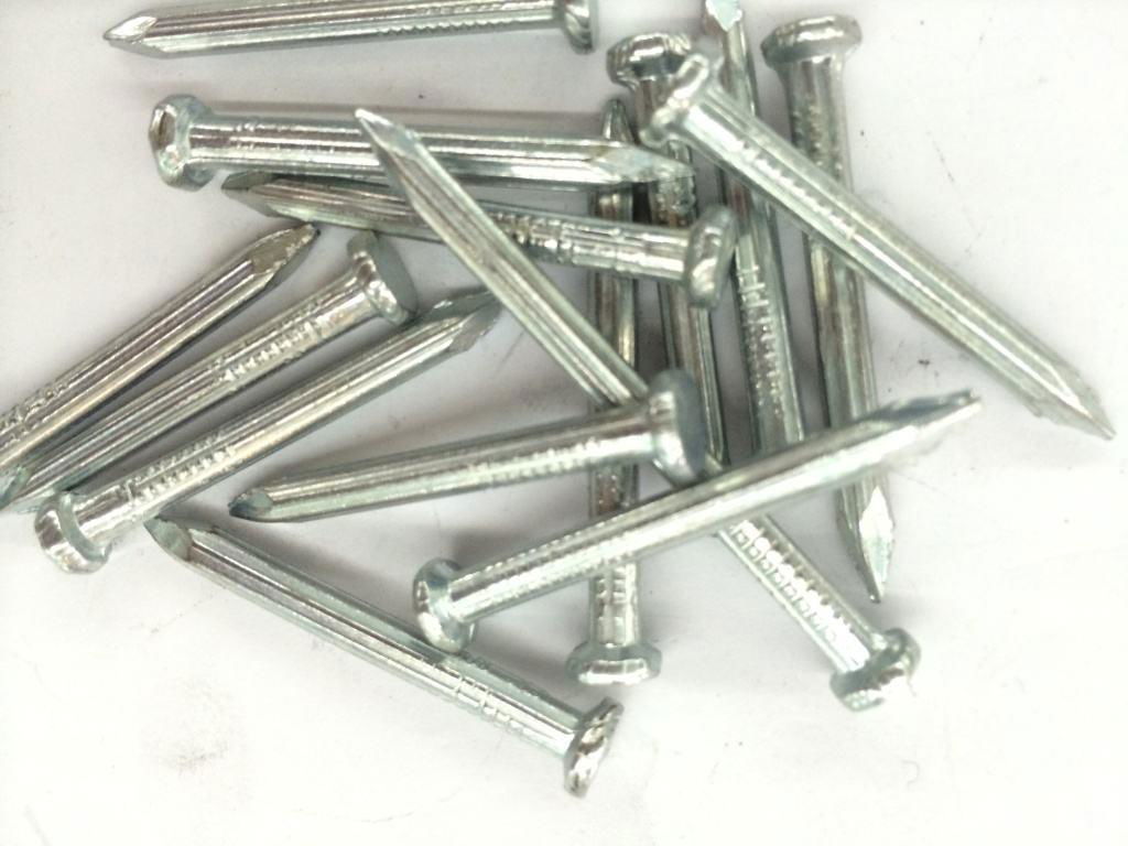 Cheap Galvanized hardened steel concrete steel nail sizes - Hebei ...