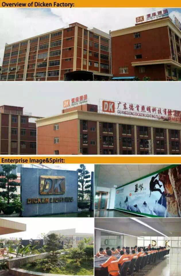 DK LED SPOT (China Manufacturer) - Bulb & Lamp - Lighting Products ...