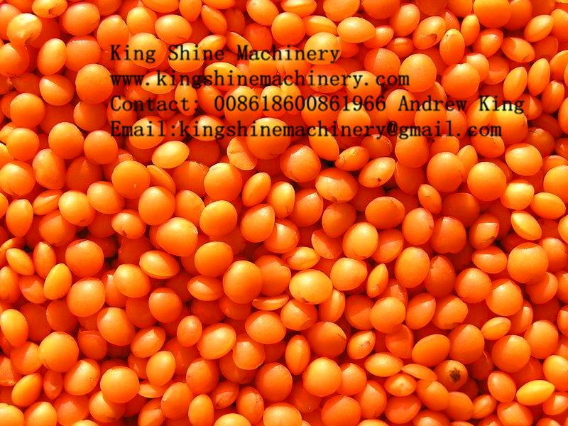 Lentil processing machine, - king shine (China Manufacturer) - Farm ...