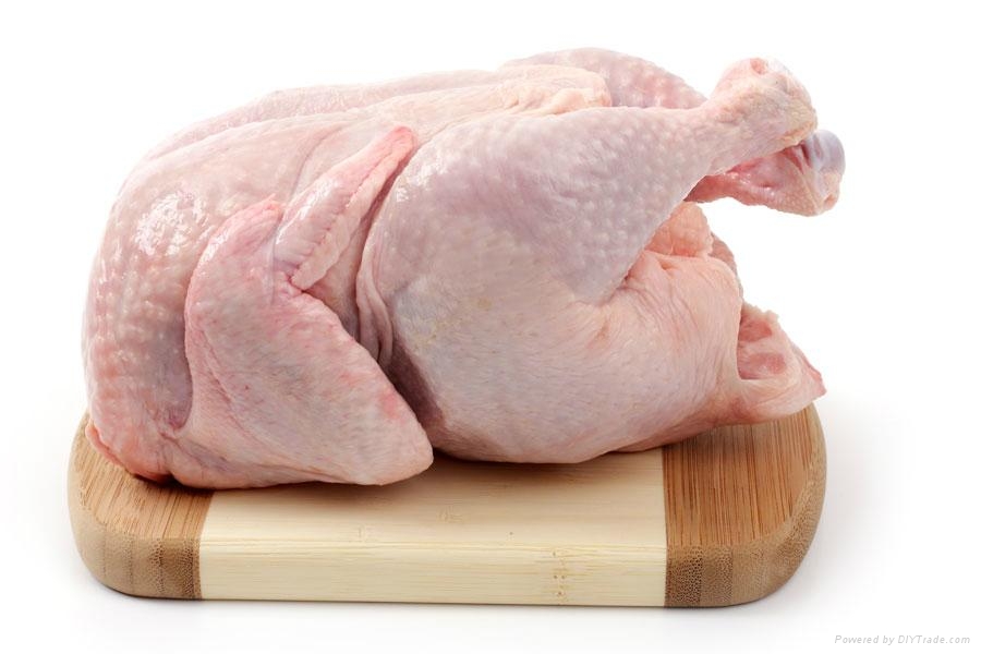Grade A Halal Frozen Chicken - FWC918 - Frozen chicken (Thailand ...