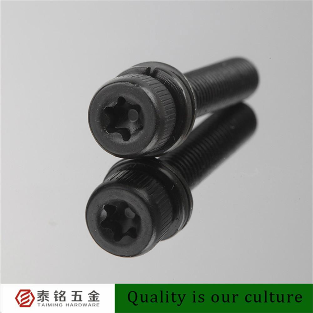 Hex Socket Torx Recess Sems Screws - Taiming (China Manufacturer ...