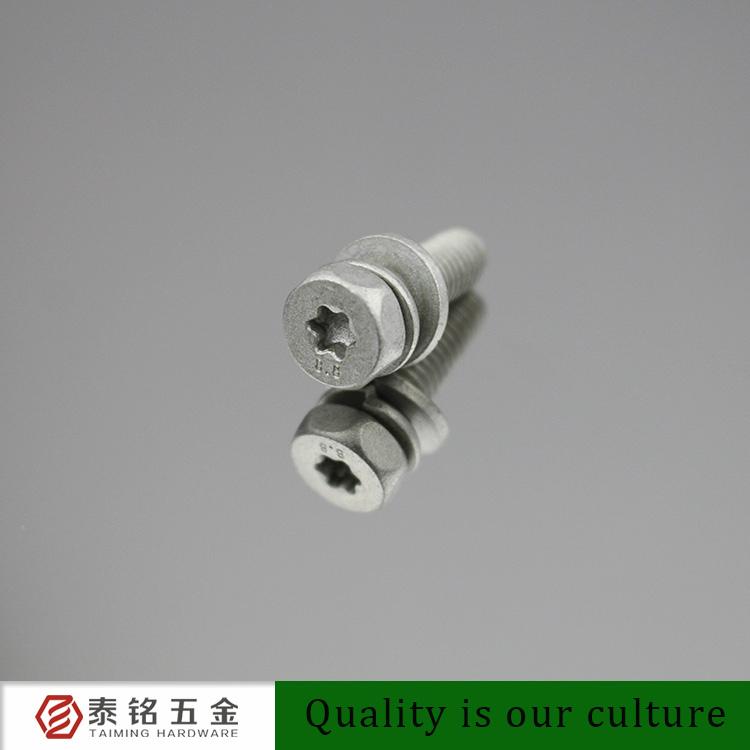 Torx Recess Hexagon Head Machine Screws and Washer - Taiming (China ...