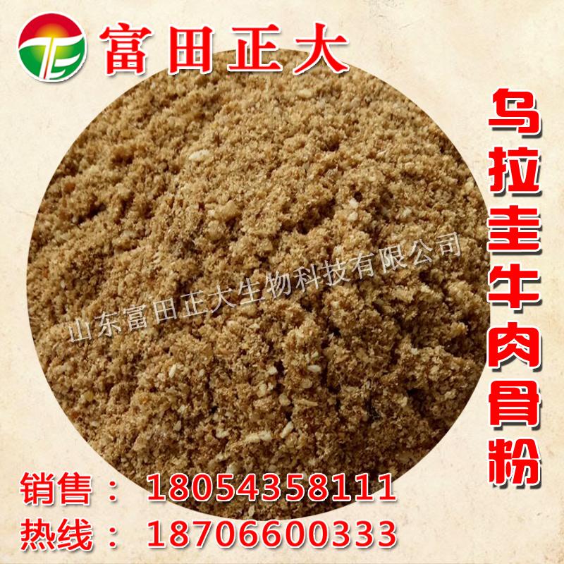 Beef bone meal in Uruguay - FT-028 (China Manufacturer) - Animal ...