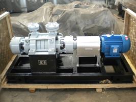 Horizontal Multistage Segmental Radially Split Pump - VBBR-L - Jiangsu ...