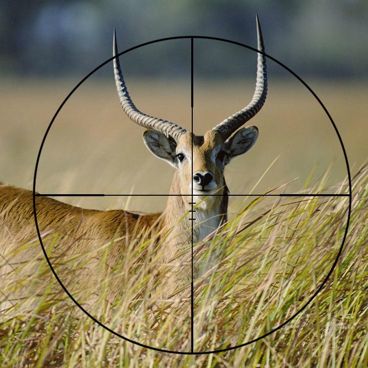 wholesale tactical military gun hunting digital rifle scope - GZ1-0314 ...