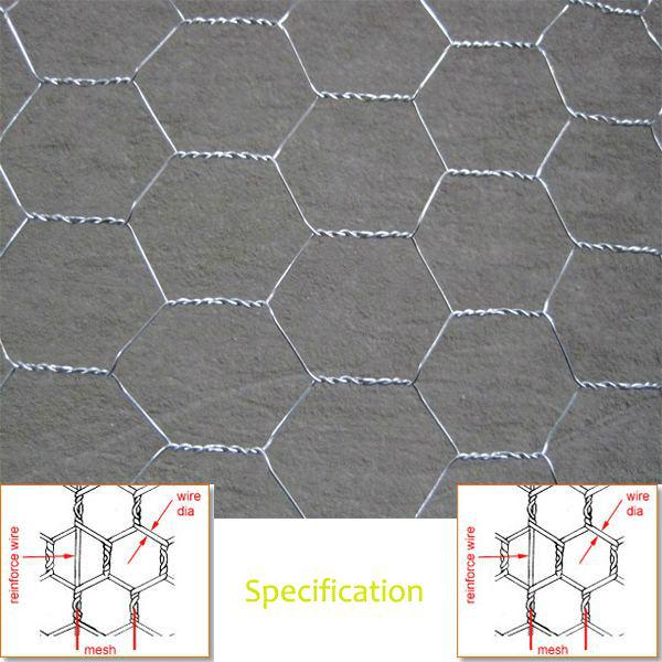 Hexagonal wire mesh direct factory - HT-HEX - HT (China Manufacturer ...