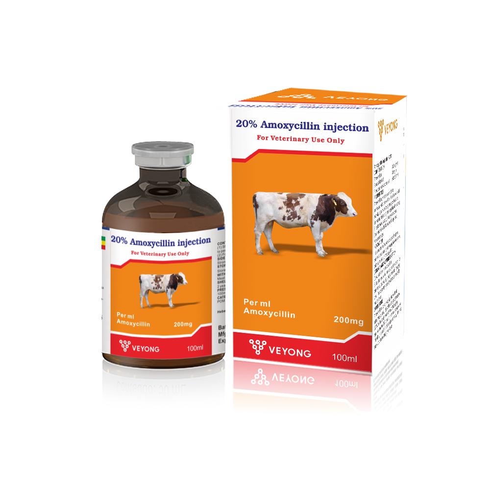 GMP 15% Amoxicillin injection for antibiotic 100ml packing - VEYONG ...