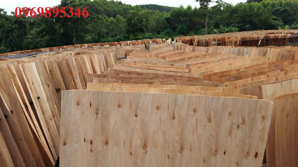 Eucalyptus Core Veneer Thickness 2.0mm A Grade to Make Plywood - KEGO COMPANY LIMITED (Vietnam ...