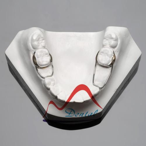 Dental Space Retainer Band Looped - OG002 (China Trading Company) - Pet ...