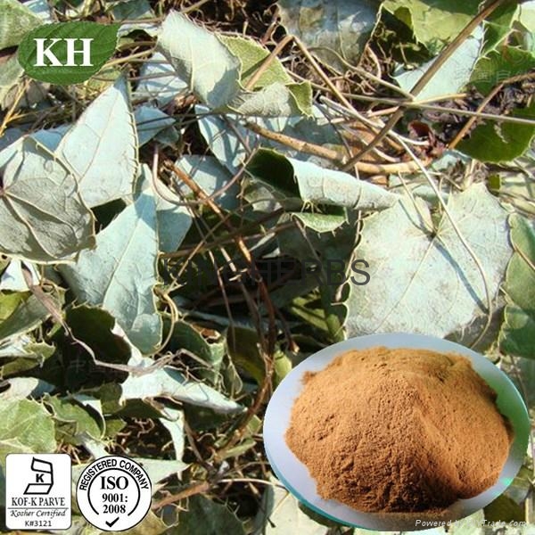 Epimedium Extract - CAS#.489-32-7 - KINGHERBS (China Manufacturer ...
