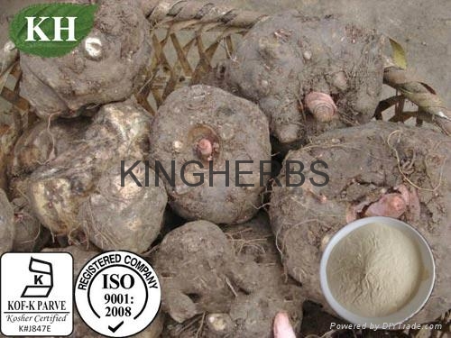 Konjac Extract - CAS#.37220-17-0 - KINGHERBS (China Manufacturer ...