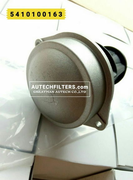 Fuel Filter 5410100163 - Natural (China Manufacturer) - Filters ...