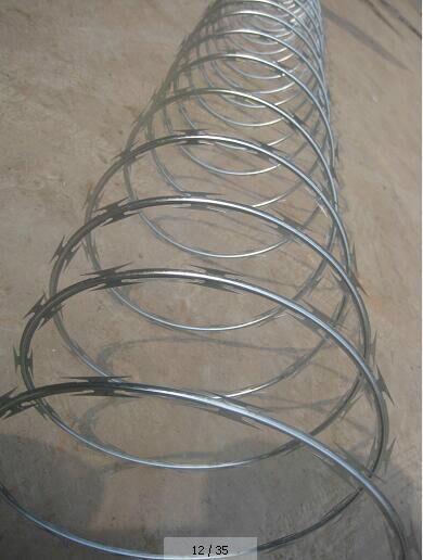 single coil razor barbed wire - barbed wire - razor wire fencing (China ...