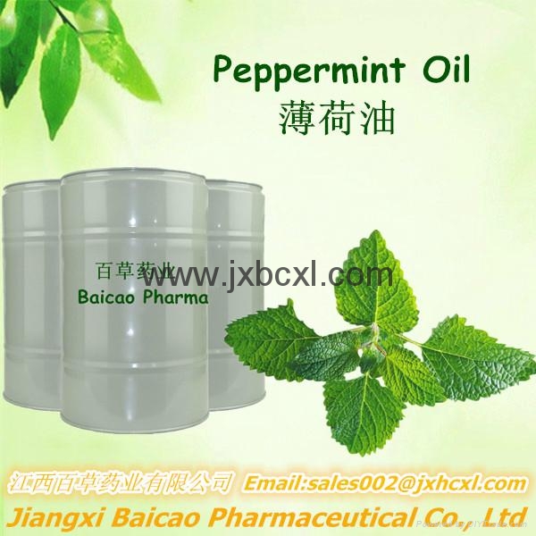 Natural Pure Peppermint Oil For Cosmetic Pharmaceutical - BHY - BC ...