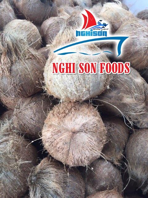 Vietnamese Semi Coconut Supplier Premium Price. - HC4-NS - NGHI SON ...