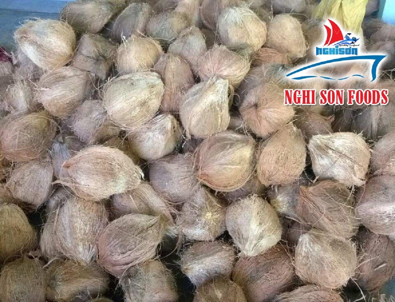 Vietnamese Semi Coconut Supplier Premium Price. - HC4-NS - NGHI SON ...